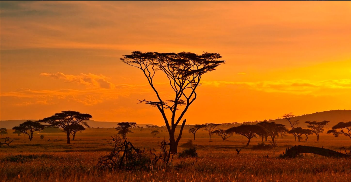 Tashinga – Extraordinary Gifts for the extraordinary people you love